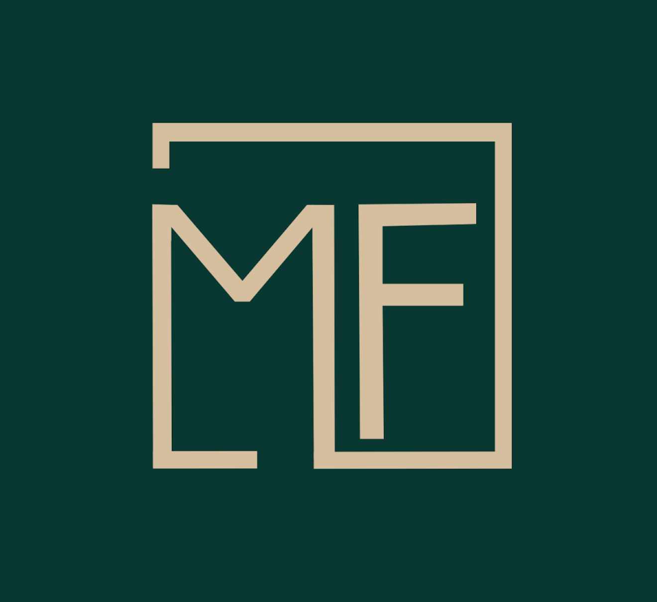 MF Project Solutions - Premium Snagging Services